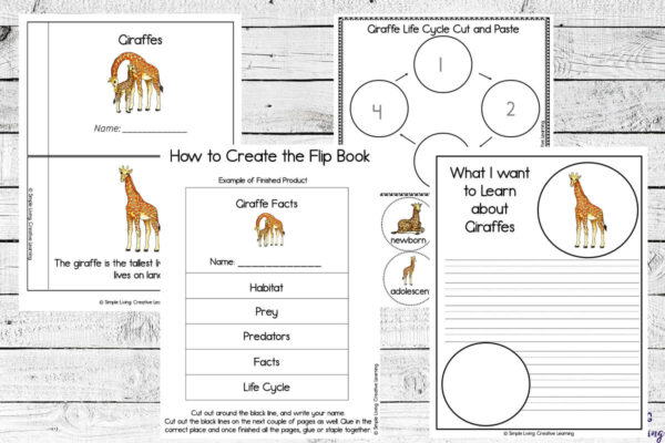 Giraffe Life Cycle Printables - Simple Living. Creative Learning