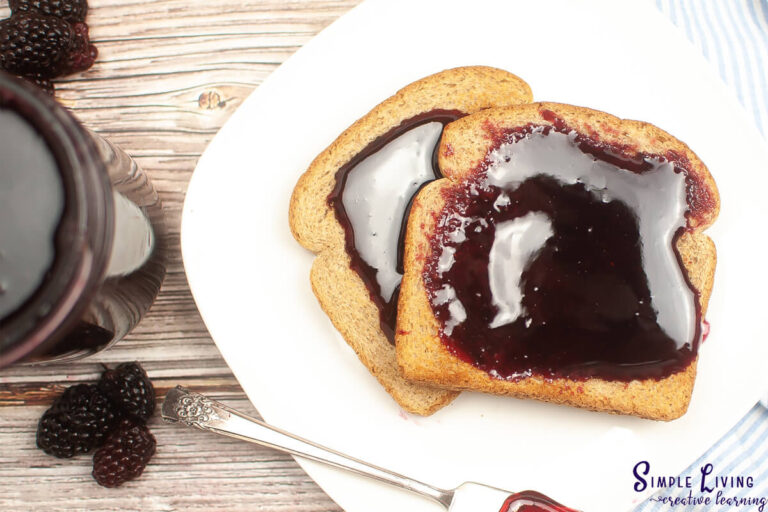 Blackberry Jam - Simple Living. Creative Learning