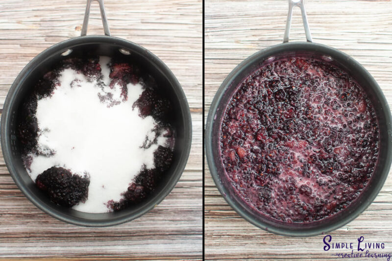 Blackberry Jam - Simple Living. Creative Learning