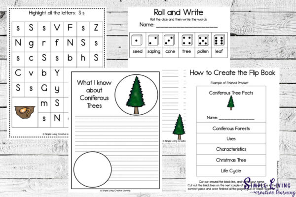 Coniferous Tree Life Cycle Printables - Simple Living. Creative Learning