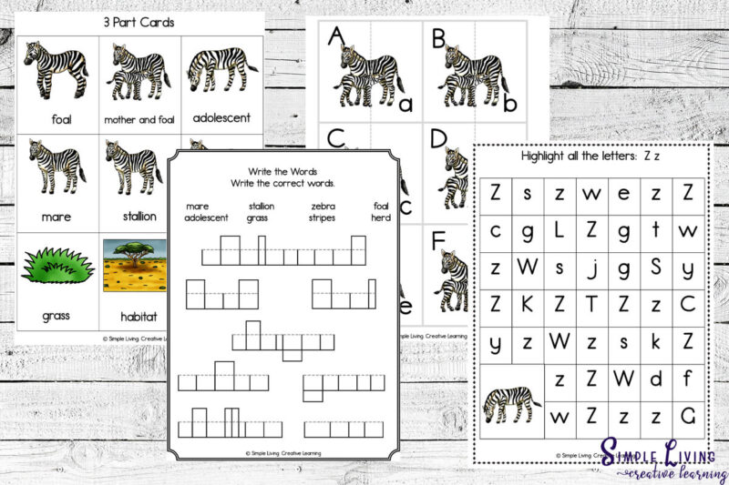 Zebra Life Cycle Printables - Simple Living. Creative Learning