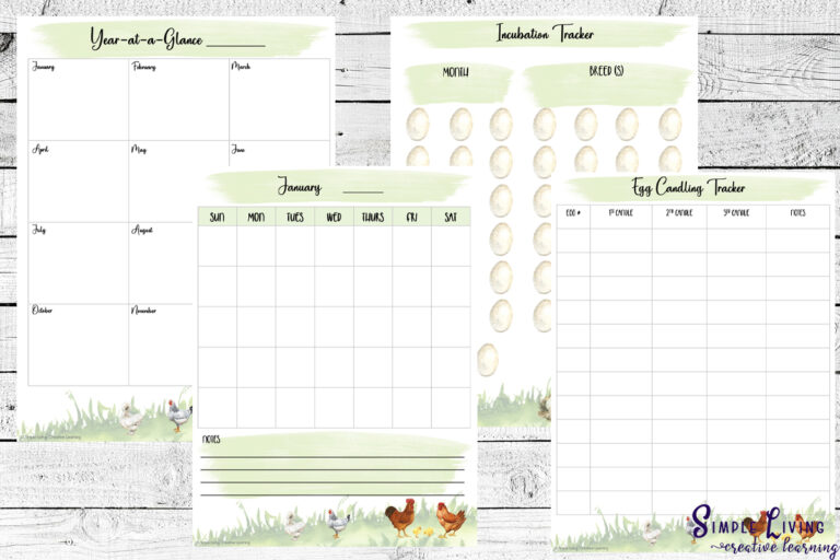 Chicken Management Binder - Simple Living. Creative Learning