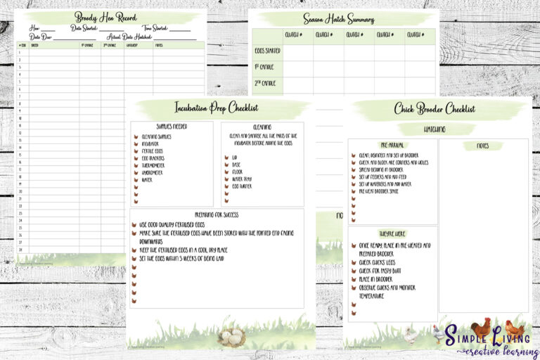 Chicken Management Binder - Simple Living. Creative Learning