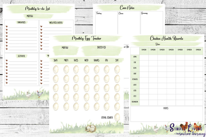 Chicken Management Binder - Simple Living. Creative Learning