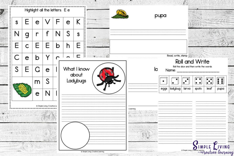 Ladybug Life Cycle Printables - Simple Living. Creative Learning