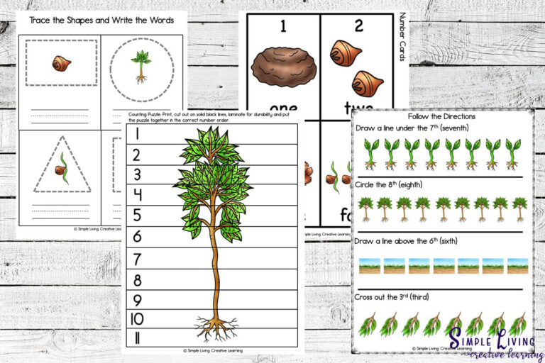 Eucalyptus Tree Life Cycle Printables - Simple Living. Creative Learning