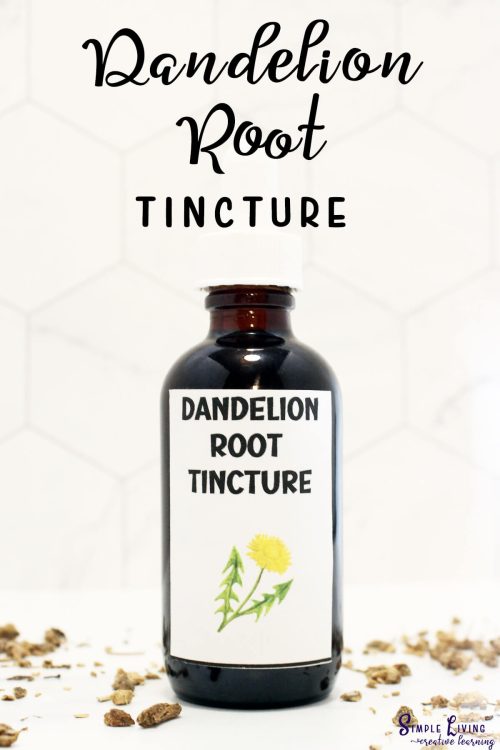 How to Make Dandelion Root Tincture - Simple Living. Creative Learning