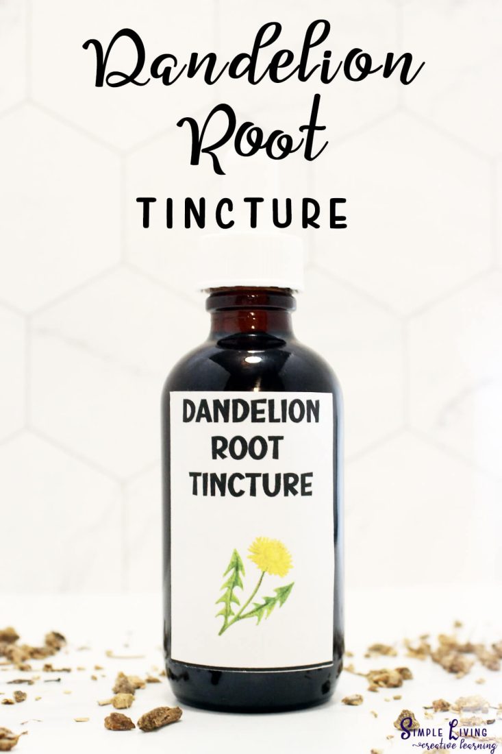 How to Make Dandelion Root Tincture - Simple Living. Creative Learning