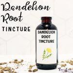 How to Make Dandelion Root Tincture - Simple Living. Creative Learning