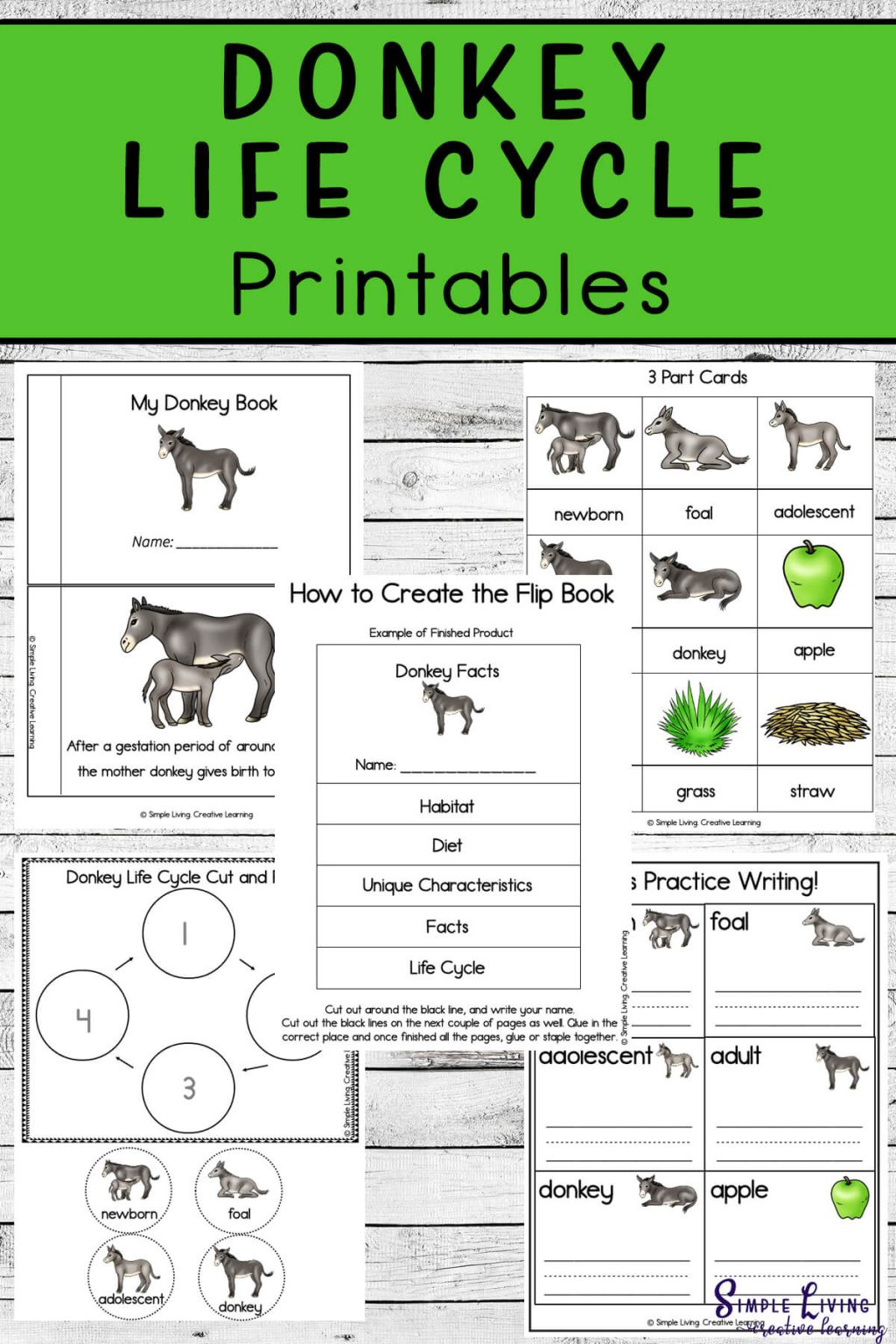 Donkey Life Cycle Printables - Simple Living. Creative Learning