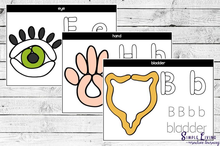 Body Parts Playdough Mats - Simple Living. Creative Learning