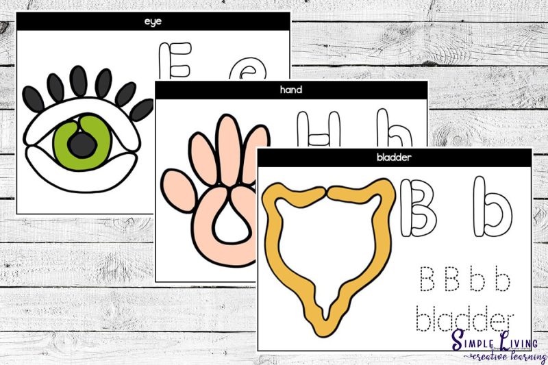 Body Parts Playdough Mats - Simple Living. Creative Learning