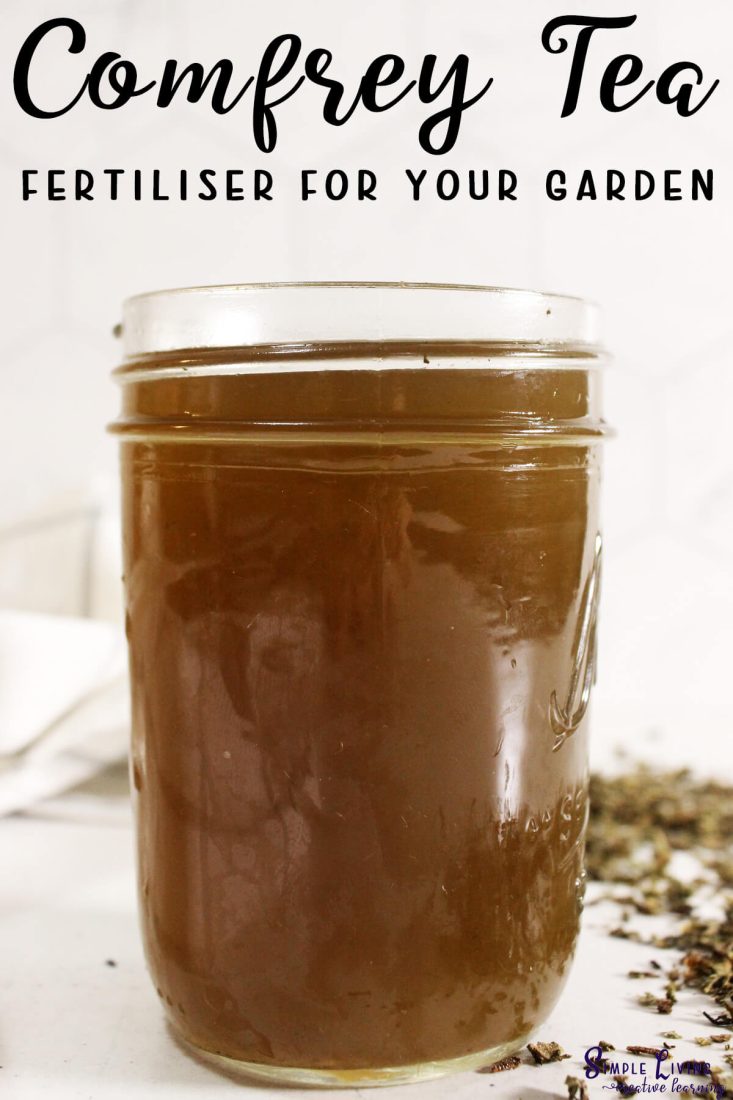Homemade Comfrey Tea {Fertiliser for your Garden} - Simple Living ...