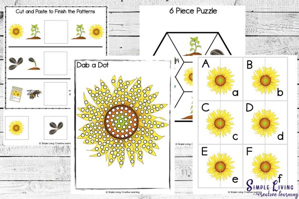 Sunflower Life Cycle Printables - Simple Living. Creative Learning