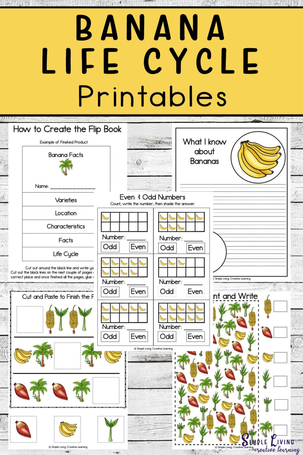 Banana Life Cycle Printables - Simple Living. Creative Learning