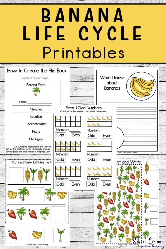 Banana Life Cycle Printables - Simple Living. Creative Learning