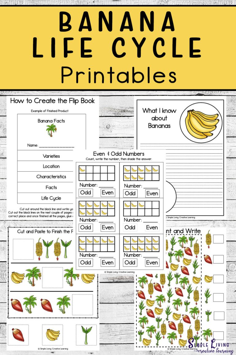 Banana Life Cycle Printables - Simple Living. Creative Learning