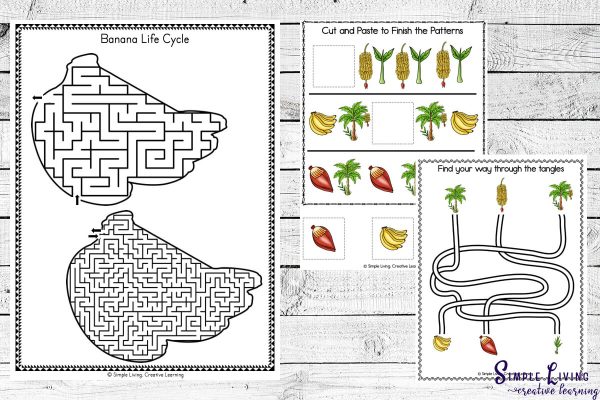 Banana Life Cycle Printables - Simple Living. Creative Learning