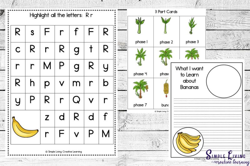 Banana Life Cycle Printables - Simple Living. Creative Learning