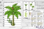 Banana Life Cycle Printables - Simple Living. Creative Learning