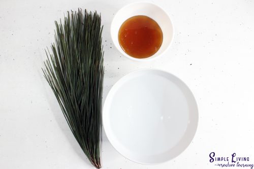 Pine Needle Syrup - Simple Living. Creative Learning
