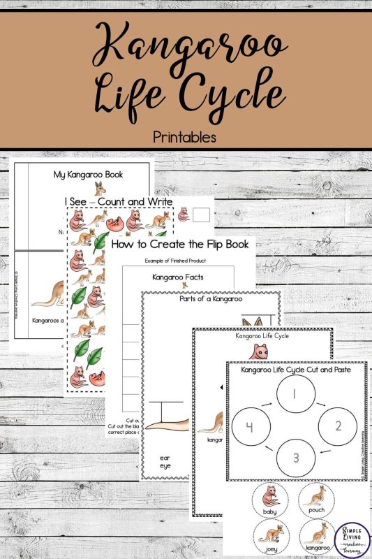 Kangaroo Life Cycle Printables - Simple Living. Creative Learning
