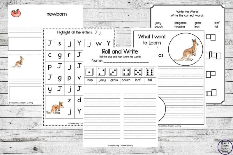 Kangaroo Life Cycle Printables - Simple Living. Creative Learning